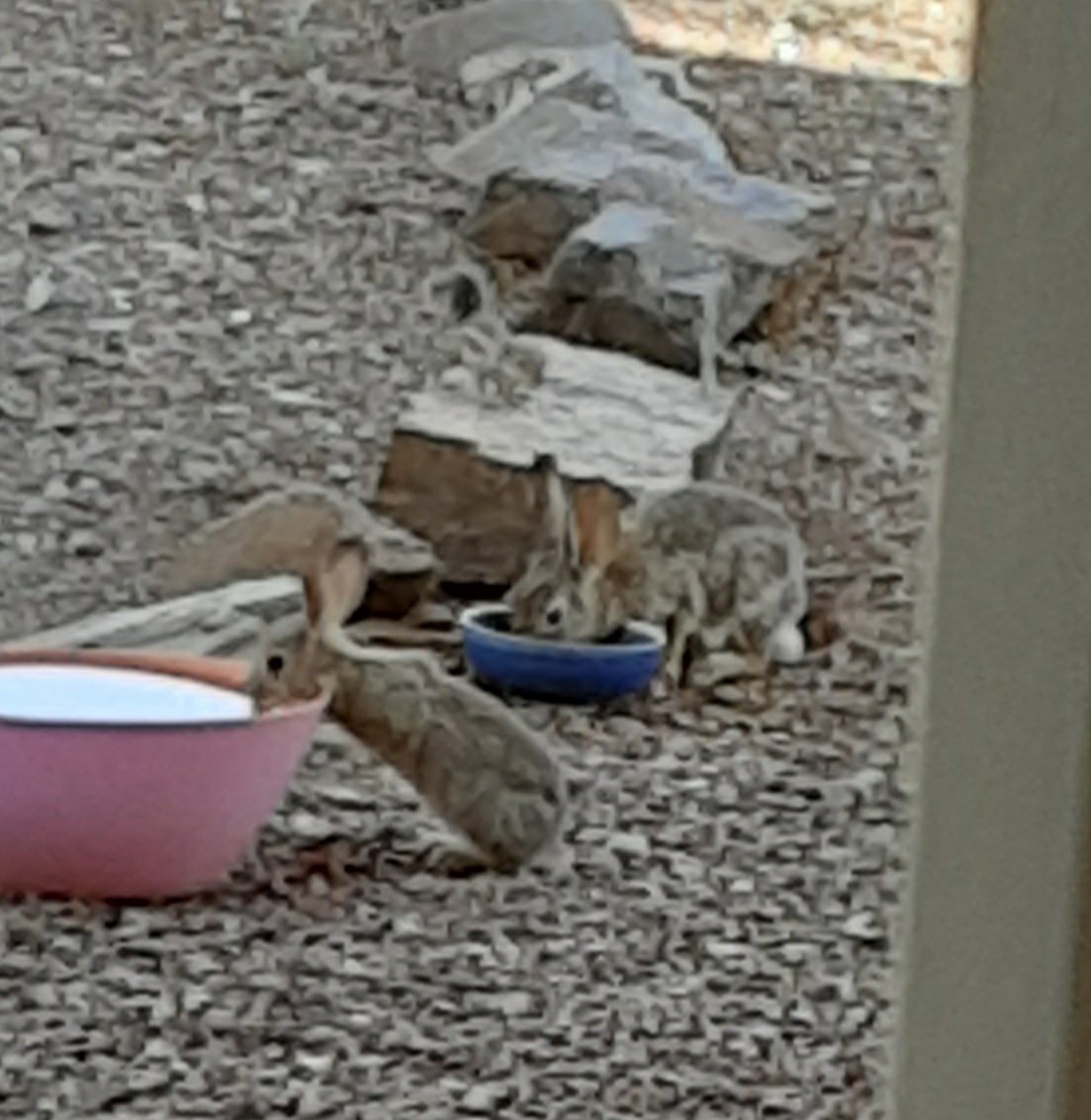 God is in Control – God Stories for Me, Yippee!